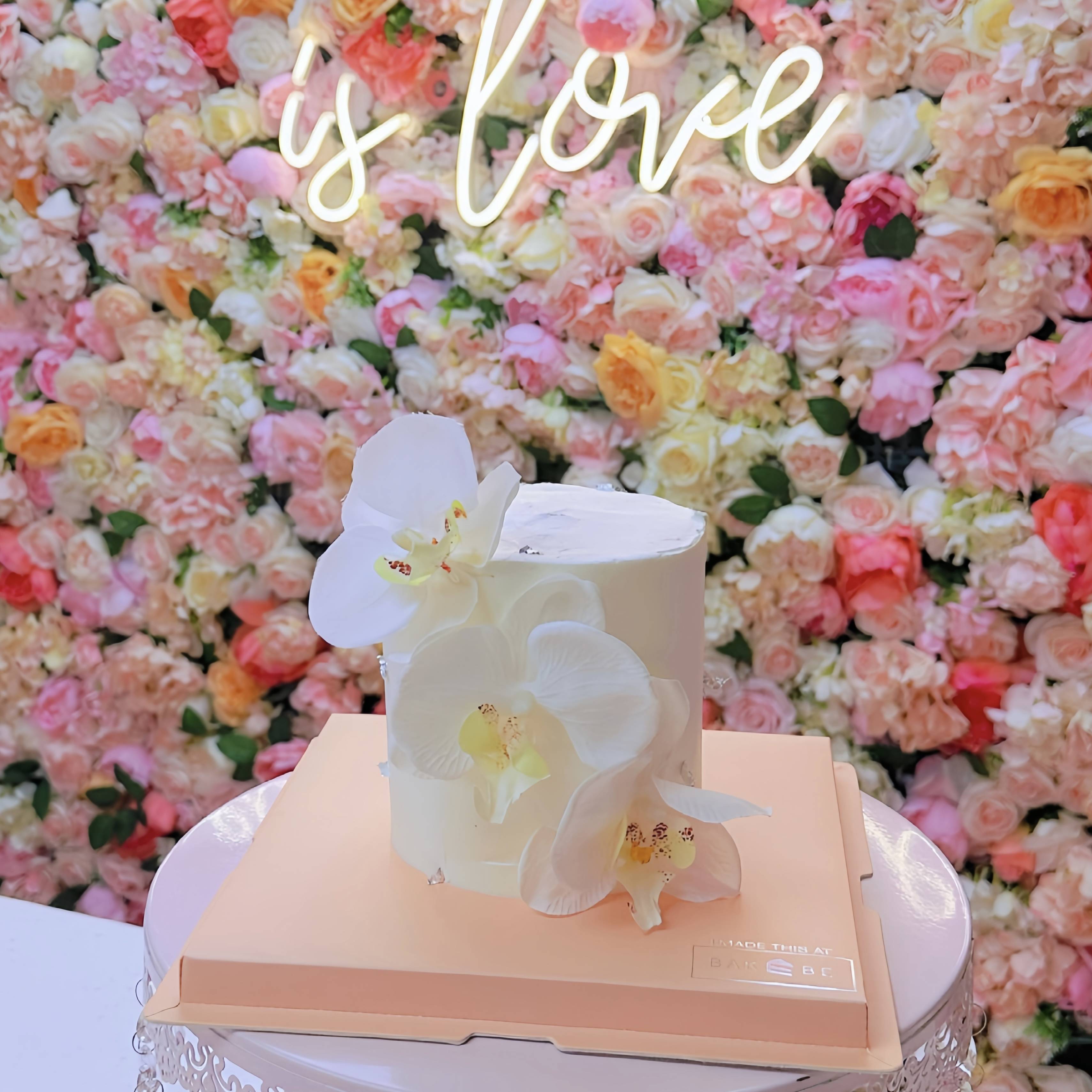 Home Page – hk en - Bakebe